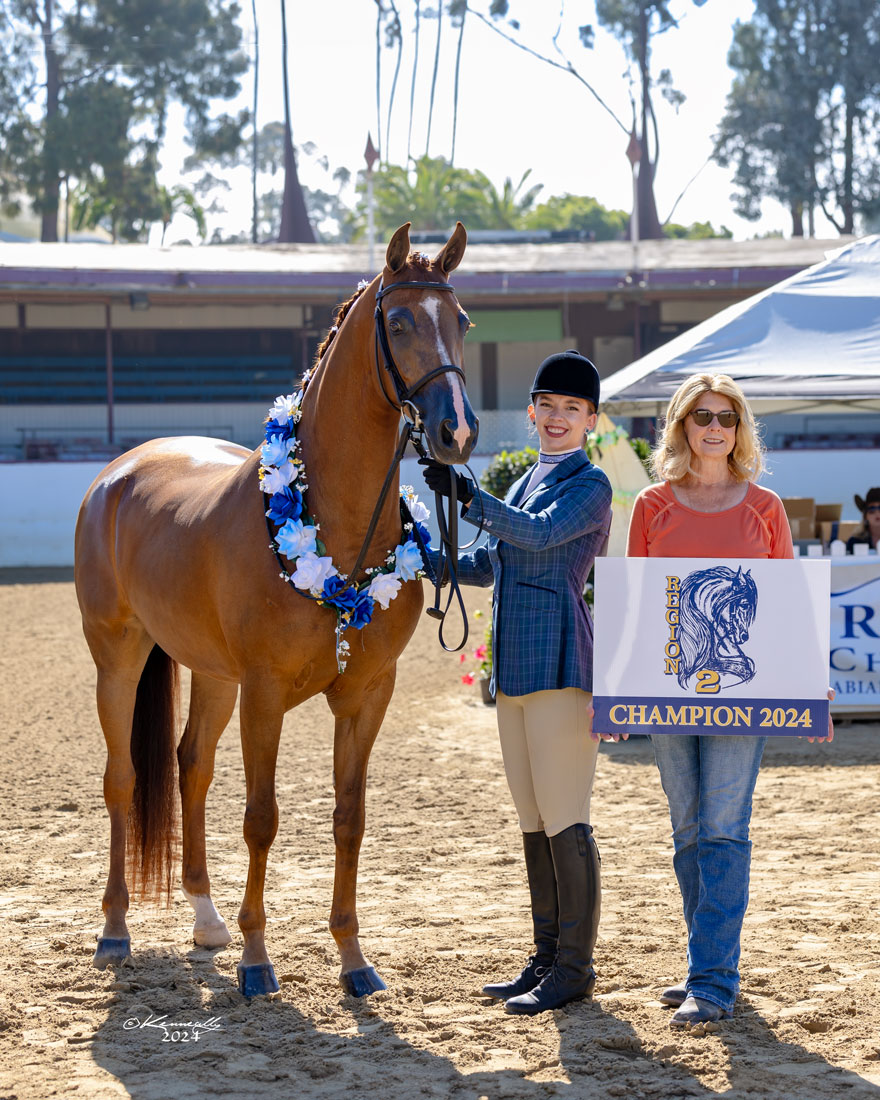 2024 Region 2 Arabian Championship Horse Show - Saturday - Kelly ...