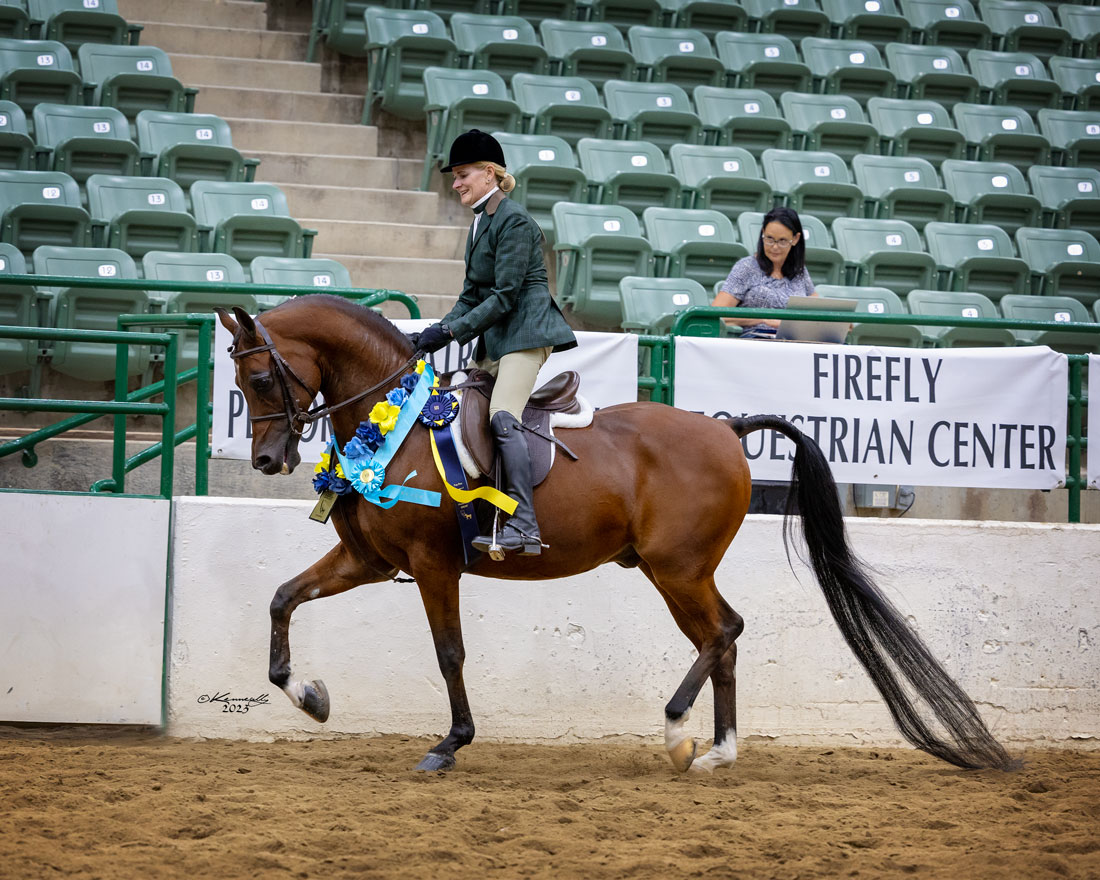 2023 Region 3 Arabian Championship Horse Show - Regional Championship ...