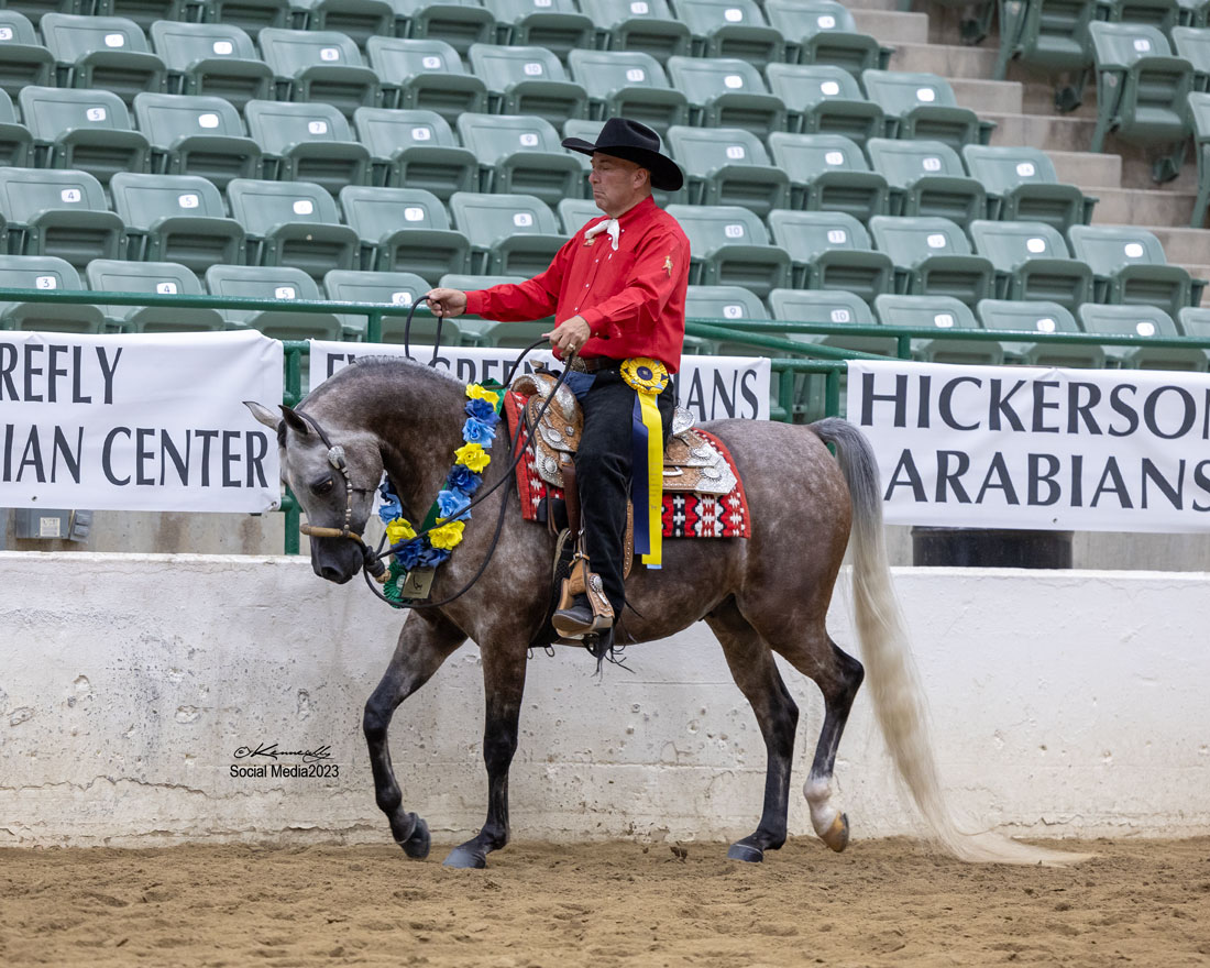 2023 Region 3 Arabian Championship Horse Show - Regional Championship ...