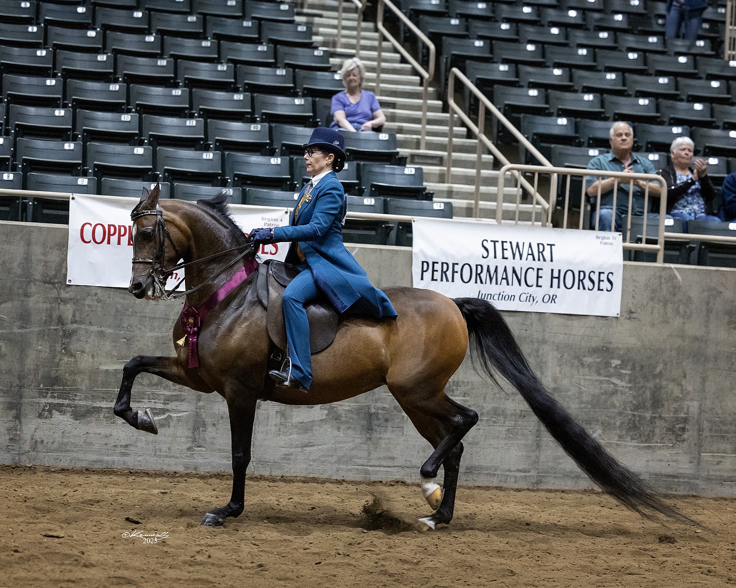 2025 Region 4 Arabian Championship Horse Show - Thursday - FIBC Arena ...