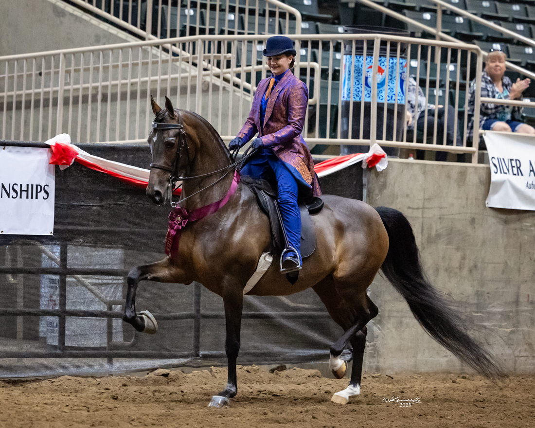 2025 Region 4 Arabian Championship Horse Show - Friday - Kelly ...