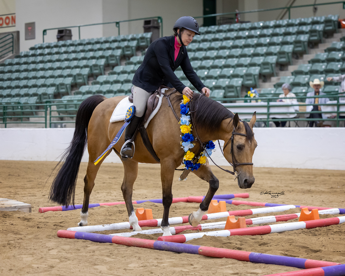 2025 Region 3 Arabian Championship Horse Show - Regional Championship ...